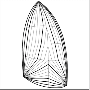 asymmetrical spinnaker panel layout | iSpinnakers