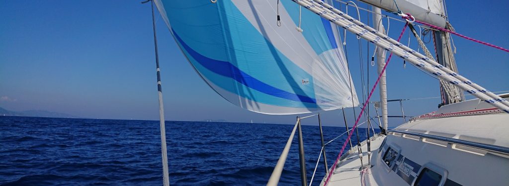 Beneteau First 310 with custom colors spinnaker blue white | iSpinnakers